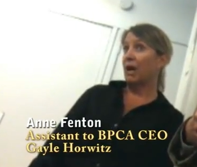 BatteryPark.TV causes CB1 to question the existence of the BPCA | The ...