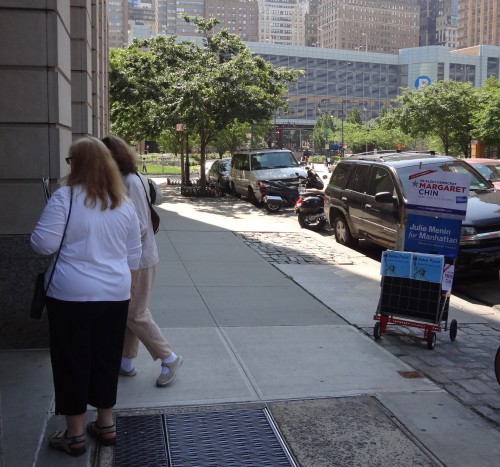 The Robin Forst gorilla campaign | The Greer Journal