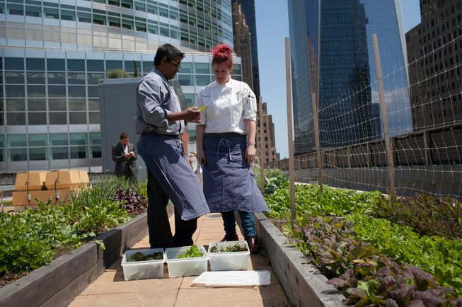 He’s Baaaack. Chef Floyd Cardoz to open a Tribeca restaurant | The ...